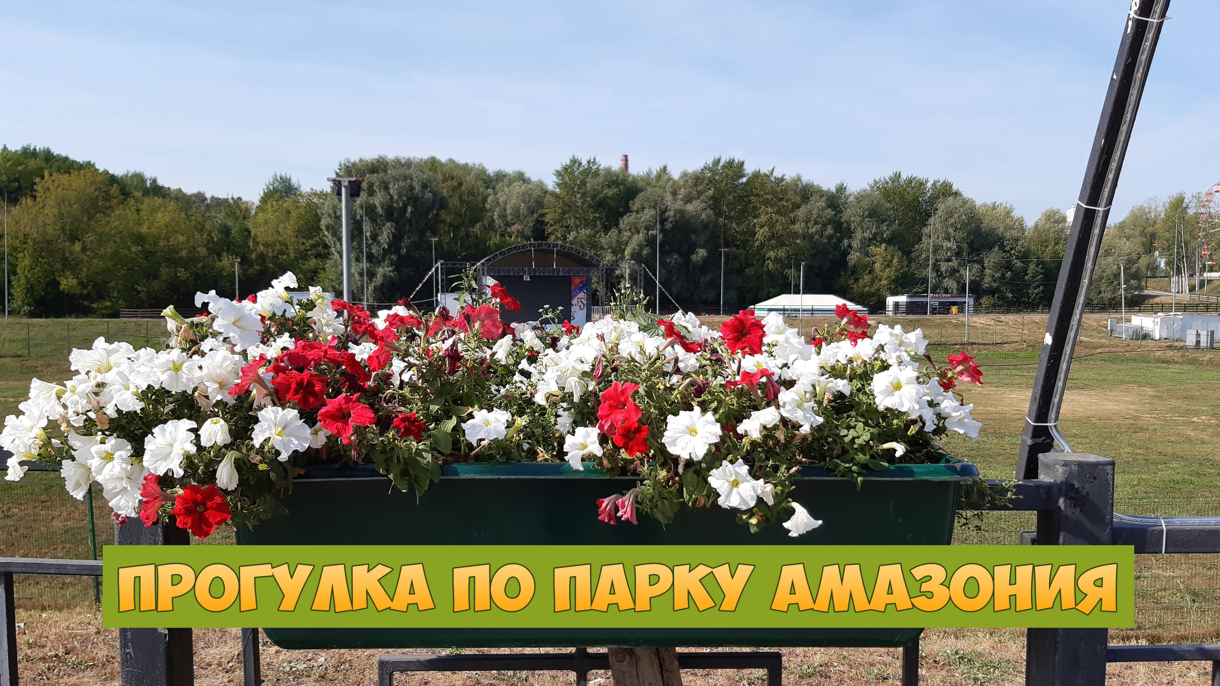 vlog ☀ ПОСЛЕДНИЙ ДЕНЬ ЛЕТНЕГО ОТПУСКА | ПРОГУЛКА ПО ПАРКУ "АМАЗОНИЯ"🚶🌿