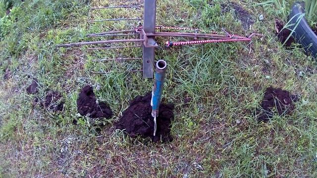 Охота на кротов на участке