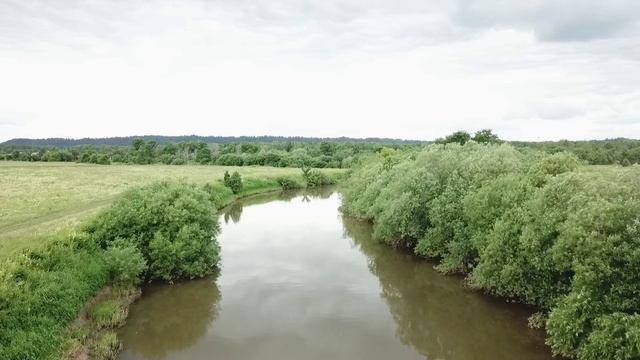 Дневник конных сборов от 24 июня 2025 года