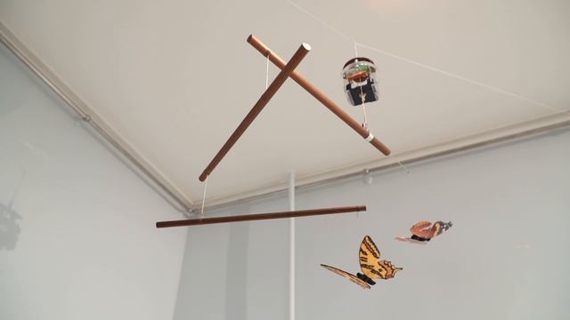 Ноосфера. Выпуск №51