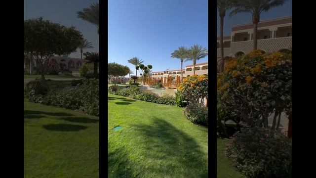 Sunrise Garden Beach resort 5*. Египет(Хургада)