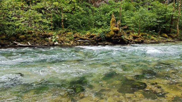 Абхазия, Горная река! СУПЕР!