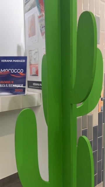 Кактусы в салоне "Керама Марацци"