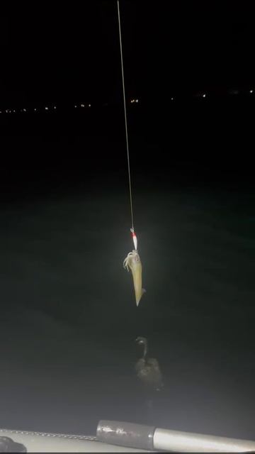 Кальмарный воблер Blood Head 100 мм 27 гр от Mr.Musurok в деле 🦑