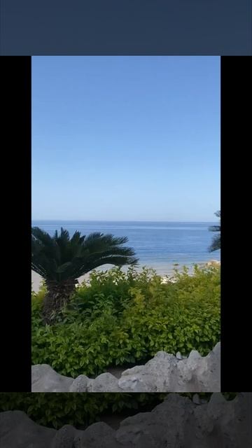 Albatros Citadel Sahl Hasheesh. Египет(Хургада)