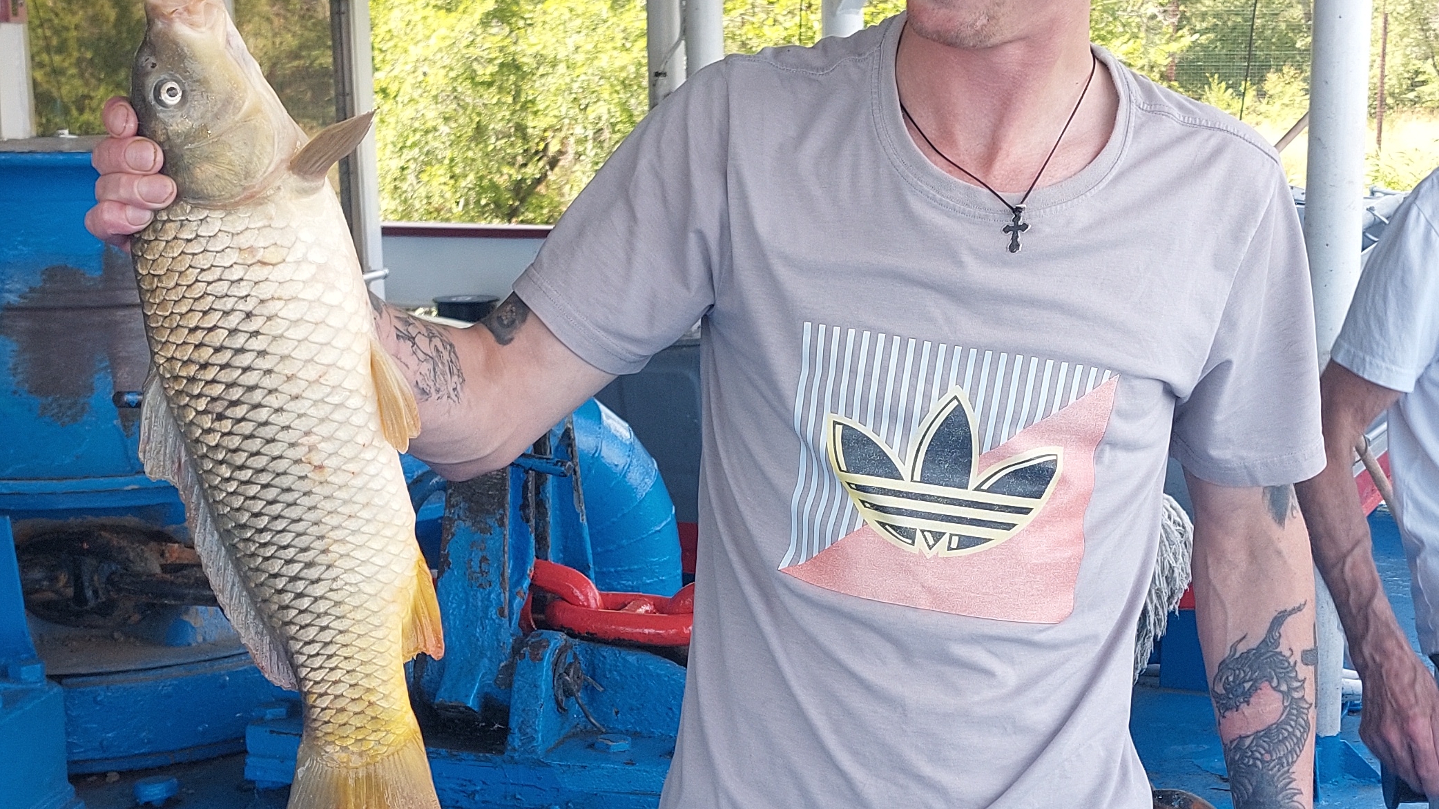 Поймали большого Сазана