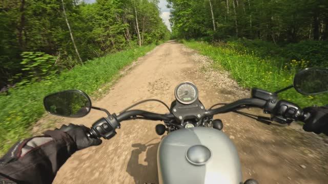 По лесу на Harley Davidson Sportster 1200