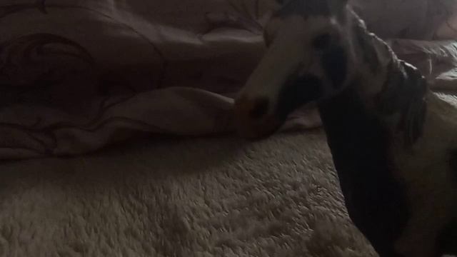 новости. задавайте мне воросы