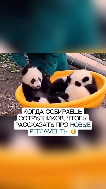 А они почему-то сопротивляются 😀