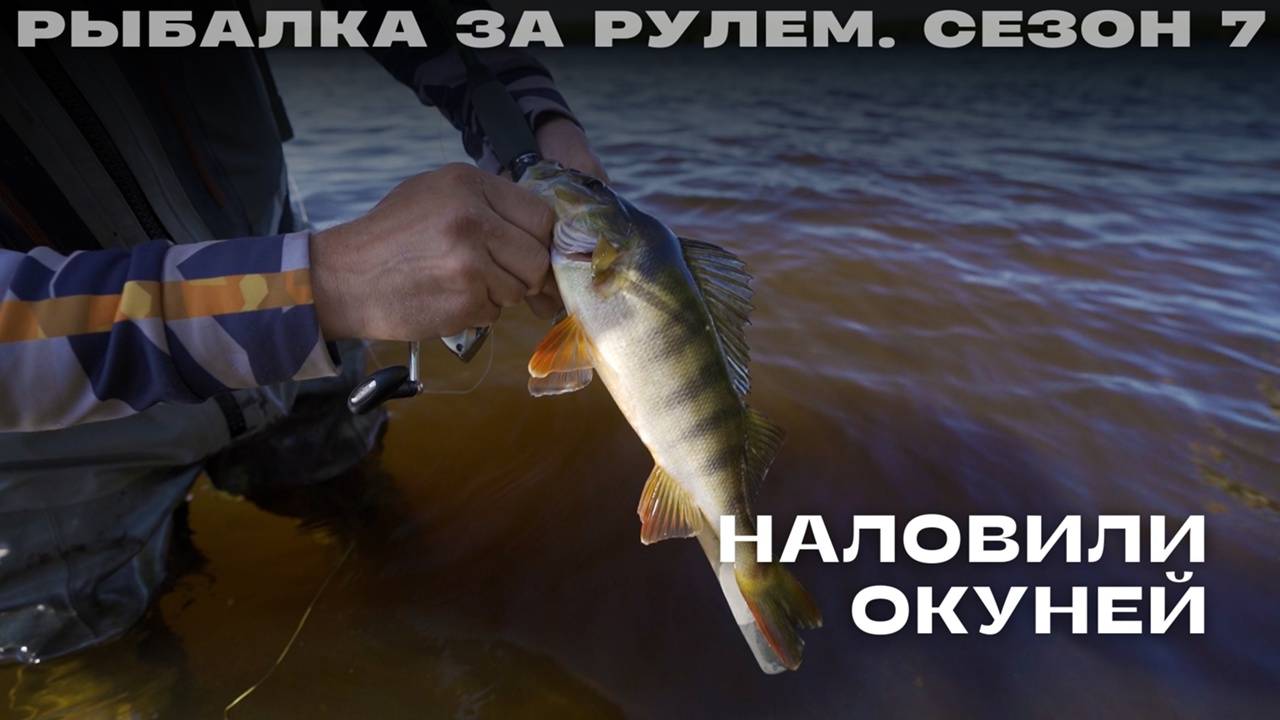 Наловили окуней. Рыбалка за рулем 7. Выпуск 19