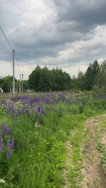 Продается земельный участок 3 сотки, город Александров, район Правда, Владимирская область.