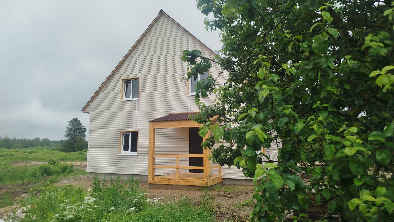 Парицы. 07-2025