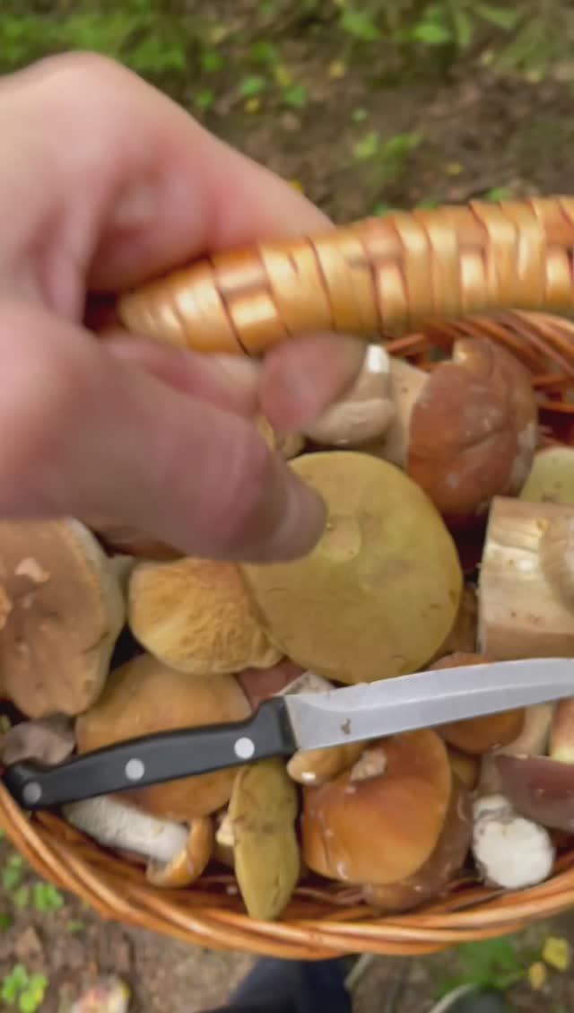 Маринованные грибы | Заготовки на зиму своими руками