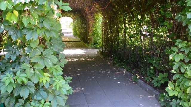 Прогулки в Санаторском парке1