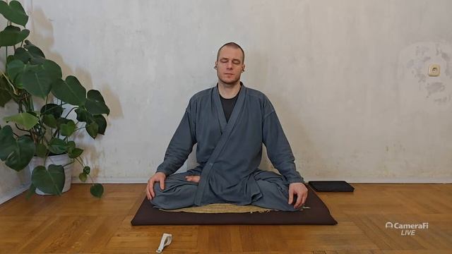 Дзен Ретрит (для начинающих)