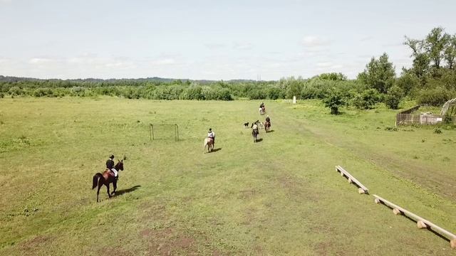 Дневник конных сборов от 18 июня 2025 года