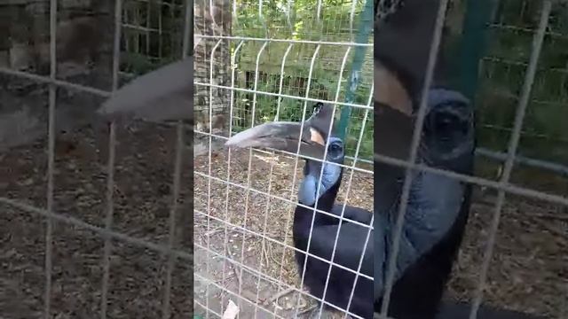 Приготовьтесь удивляться