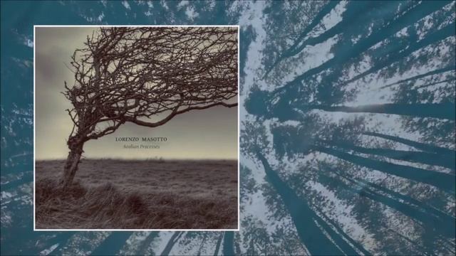 Lorenzo Masotto - Space Flowers