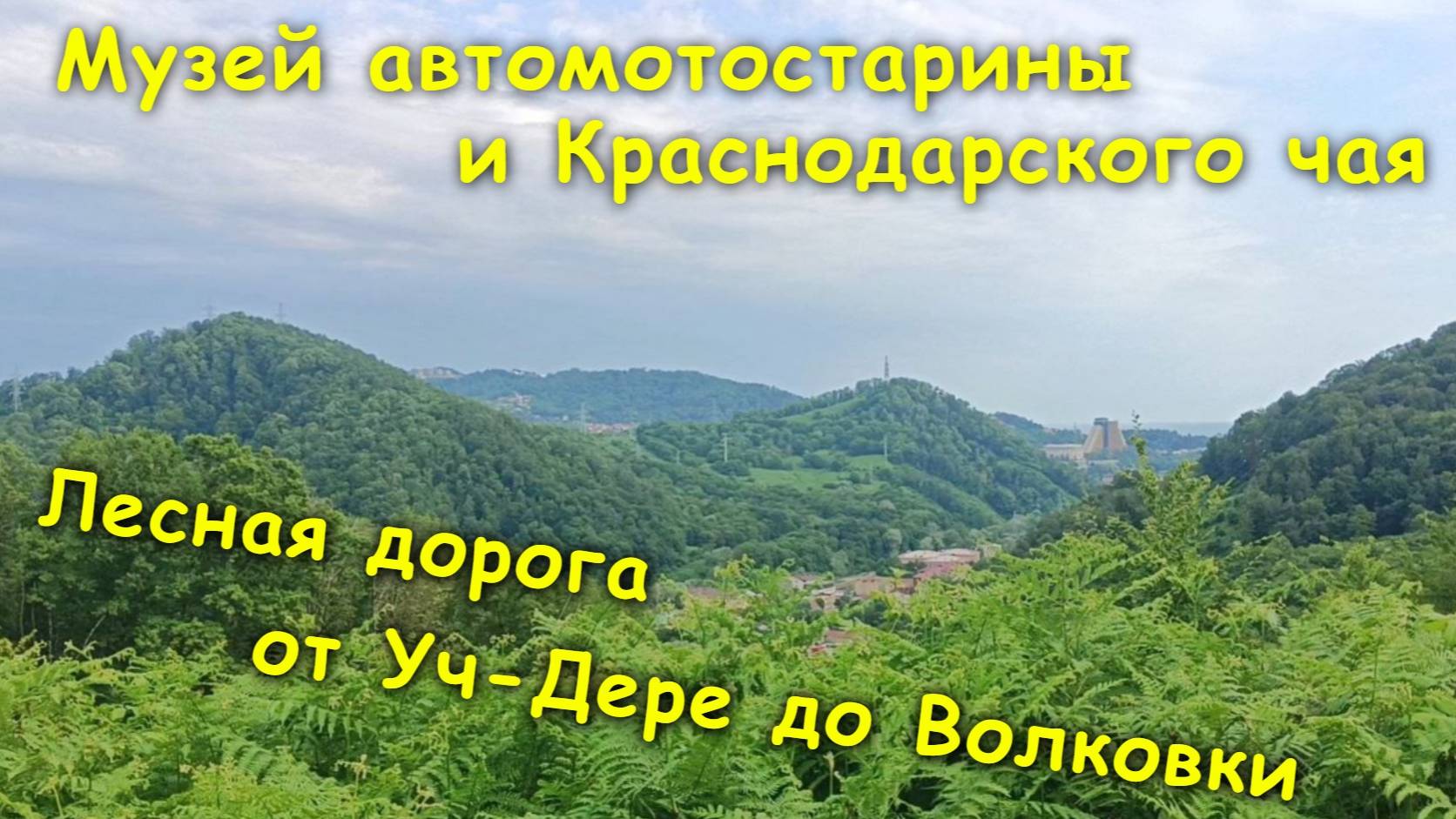 Музей автомотостарины🛺 и Краснодарского чая🌱 / Лесная дорога от Уч-Дере до Волковки🌳