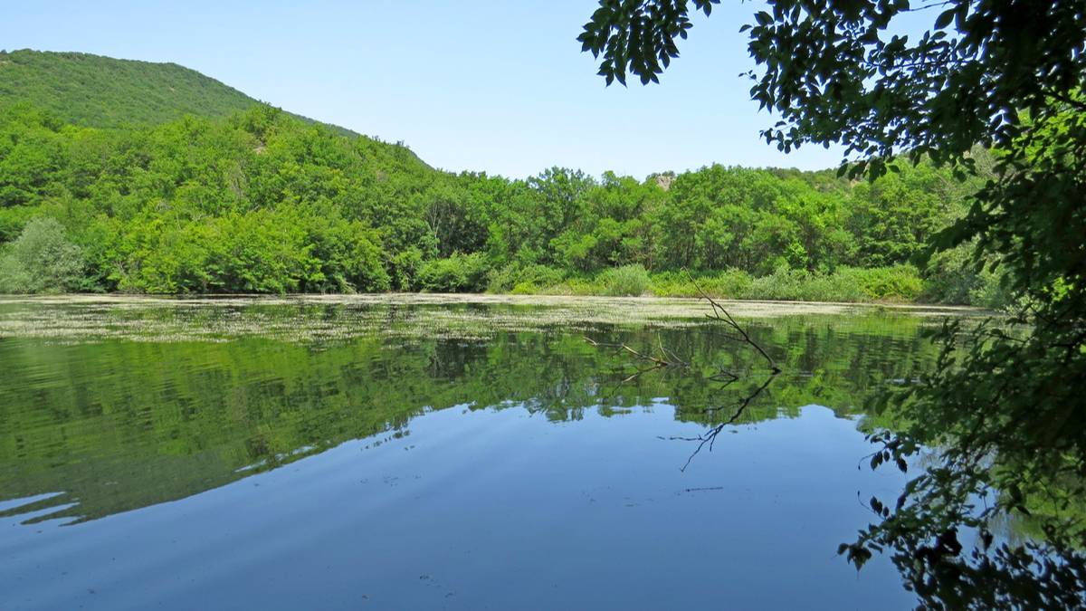 2 часть. Лесное озеро Щебетовки.
