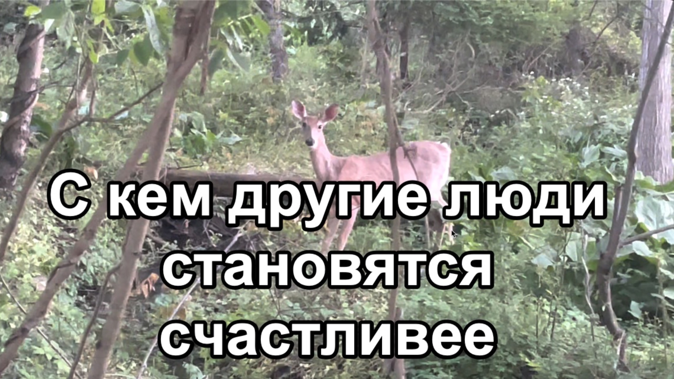 С кем другие люди становятся счастливее