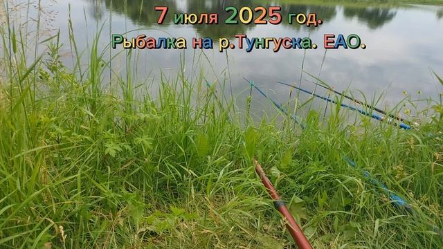 Летняя рыбалка. Карась на р.Тунгуска ЕАО.