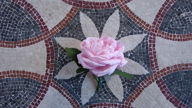 Цветы и камень. Царицын павильон.