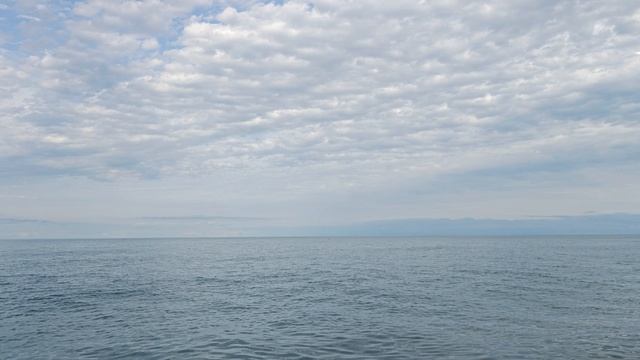 МОРЕ ПИЦУНДА, АБХАЗИЯ!