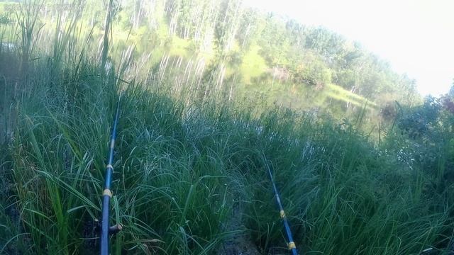 Поездка на озеро из детства.