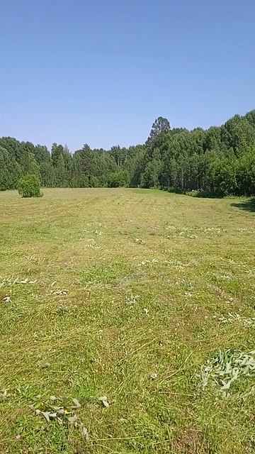 Т25. Сенокос . 5 июля 2025 г.