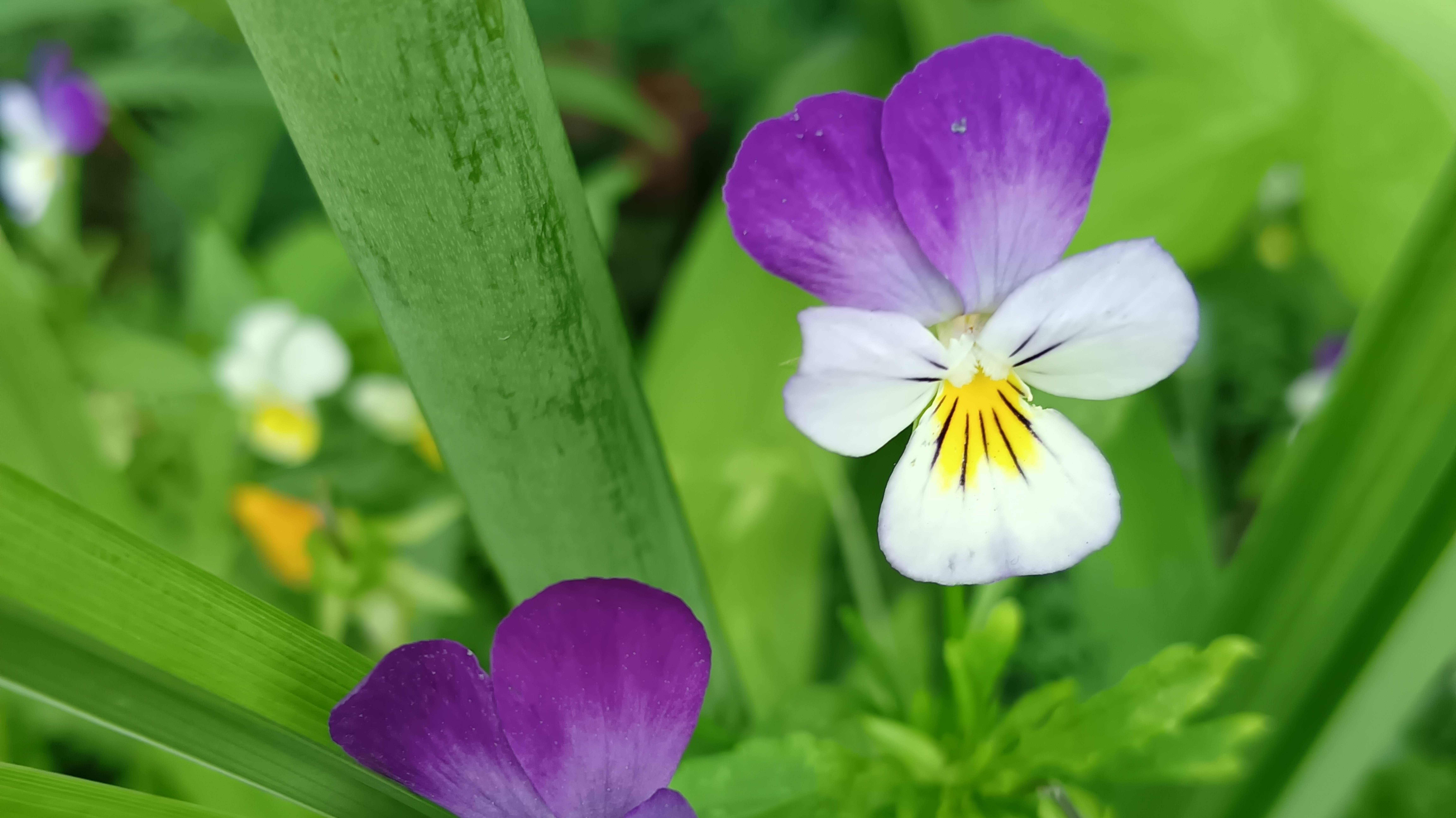 Лето, ах солнечное, сладкое лето!!!