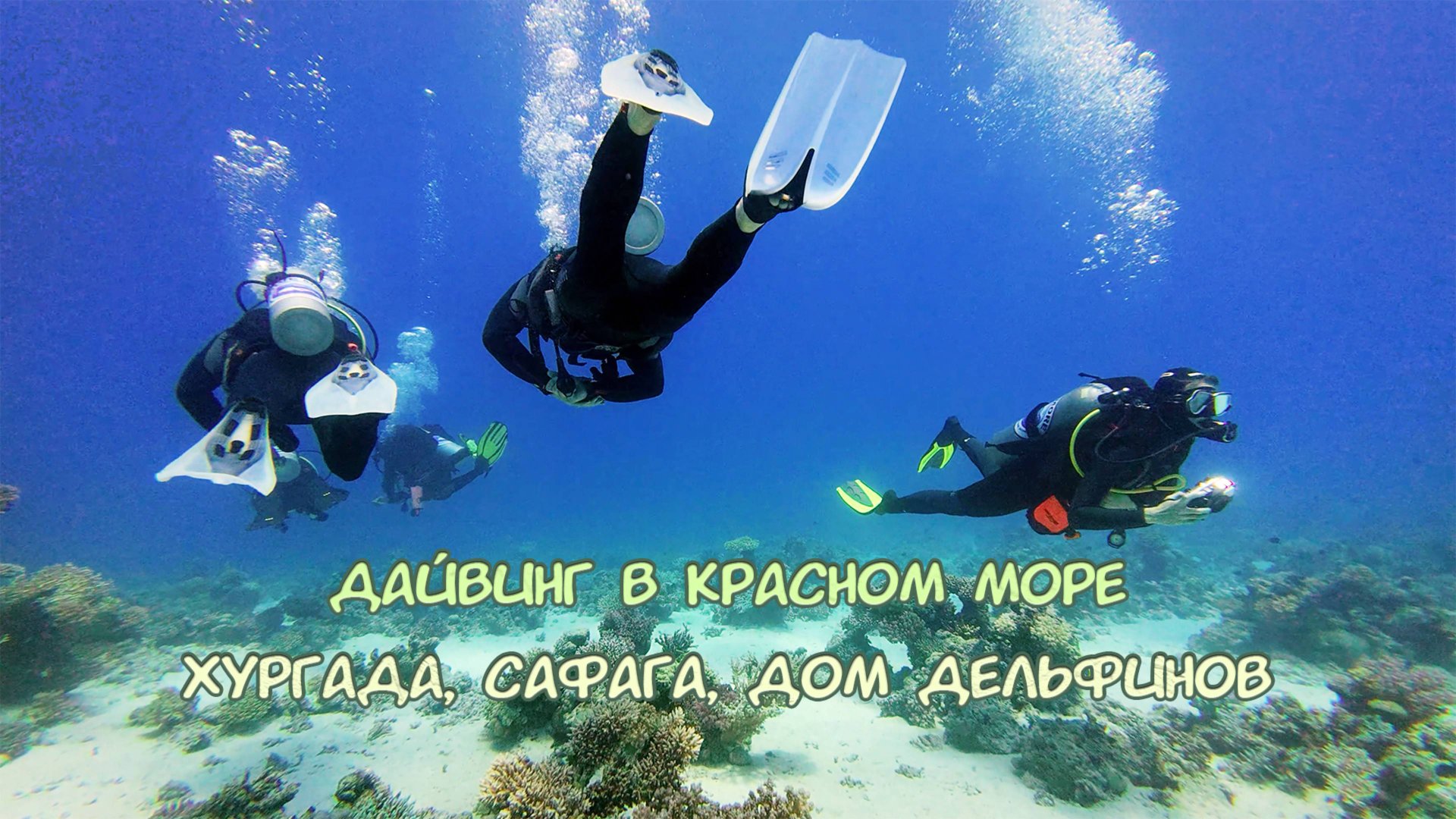 Дайвинг в Красном море. Хургада, Сафага, Дом дельфинов