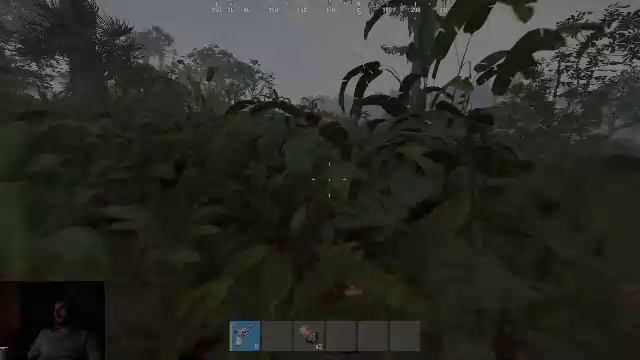 Rust Мэджик 2 соло против 600 глобал вайп.