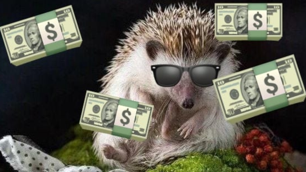 Улей без проигрышей! |Super bear adventure| #1