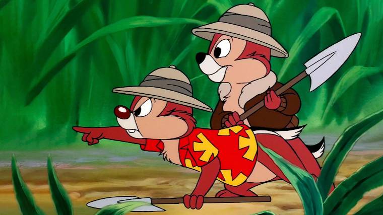 Как голубь спас кабачок:-D