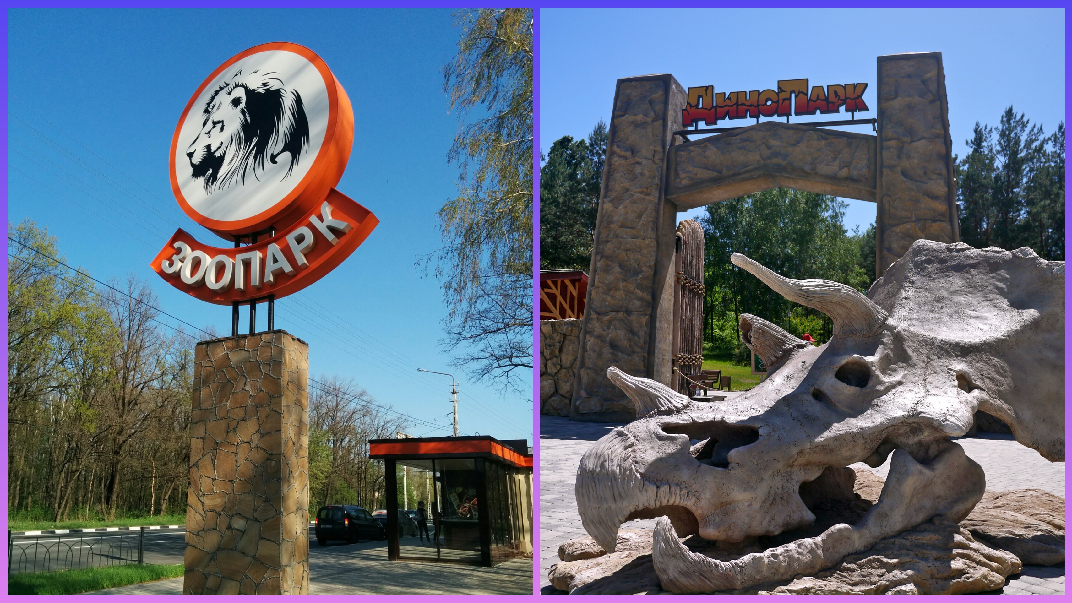 Съездили в зоопарк 🐯 Динопарк🦖