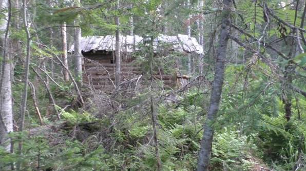 Жизнь ОТШЕЛЬНИКА в ДЕВСТВЕННОЙ ТАЙГЕ 2023 Даугли 2 Рыбалка Охота Поход Медведь Один в Лесу у реки