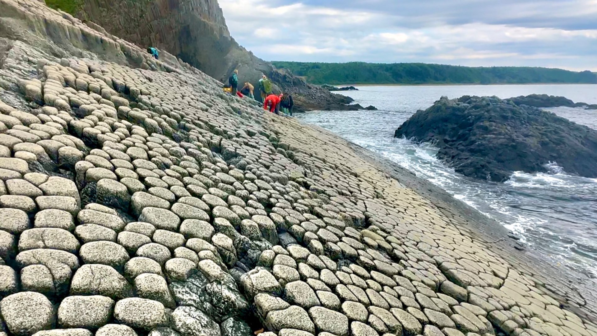 Мыс Столбчатый «змеиная кожа»,остров Кунашир День 11. Курильские острова 05.06.25