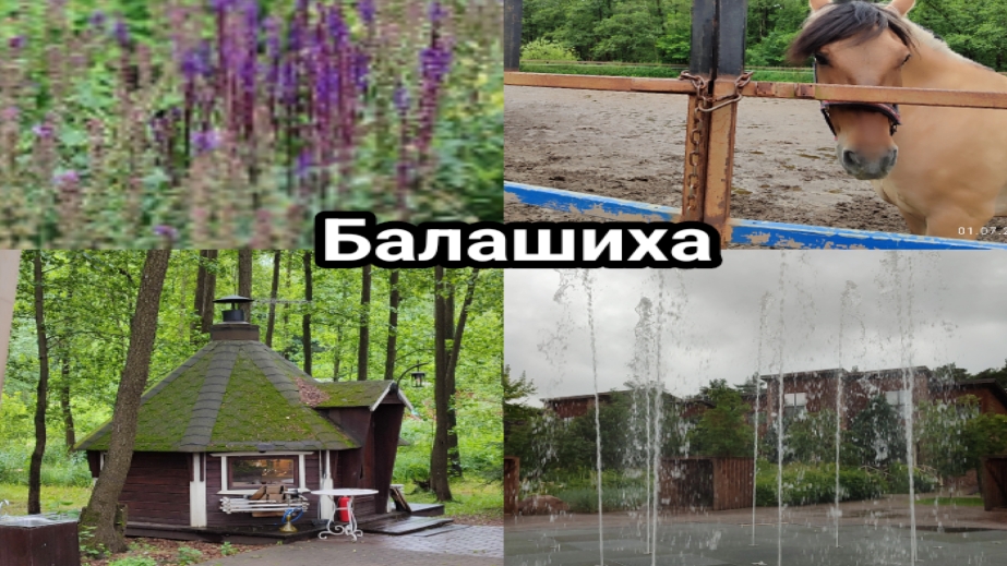 4 дня в Балашихе| Влог