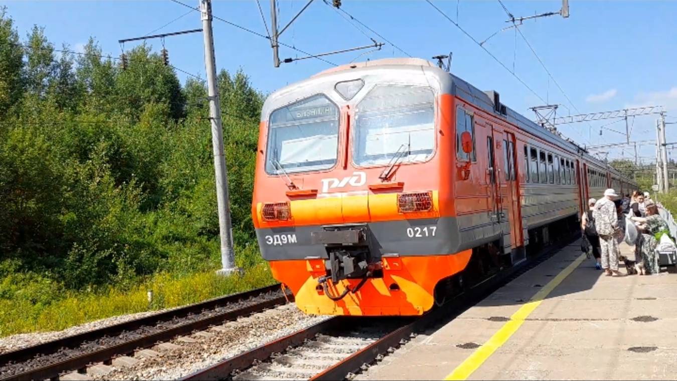 20250705_113437_001 Четырёхминутная поездка на электричке. Вернулись на дачу