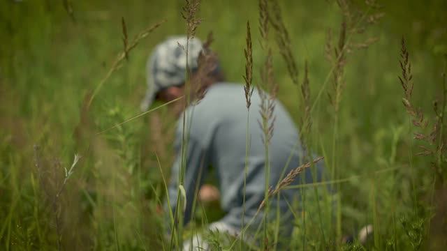 Лето. Земляника. Ветрянка.