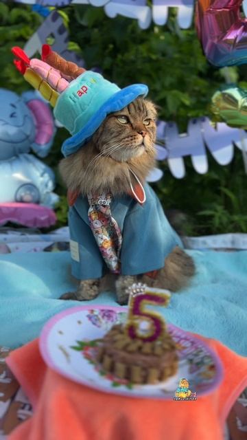 С днём рождения, наш любимый мальчик!🥳🎂😻 #деньрождения #котик #сднемрождения