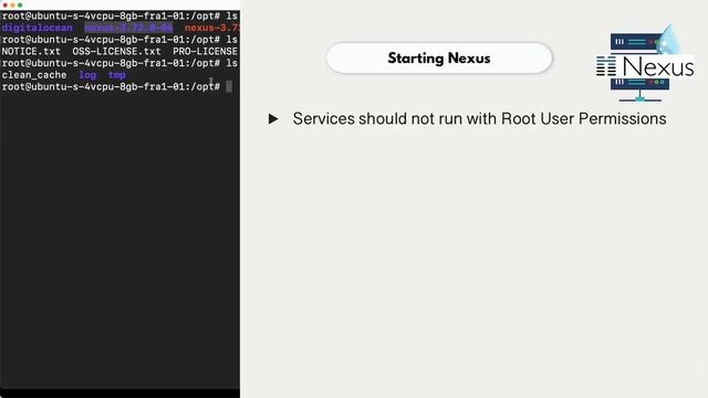 6.2 Install and Run Nexus on a cloud server