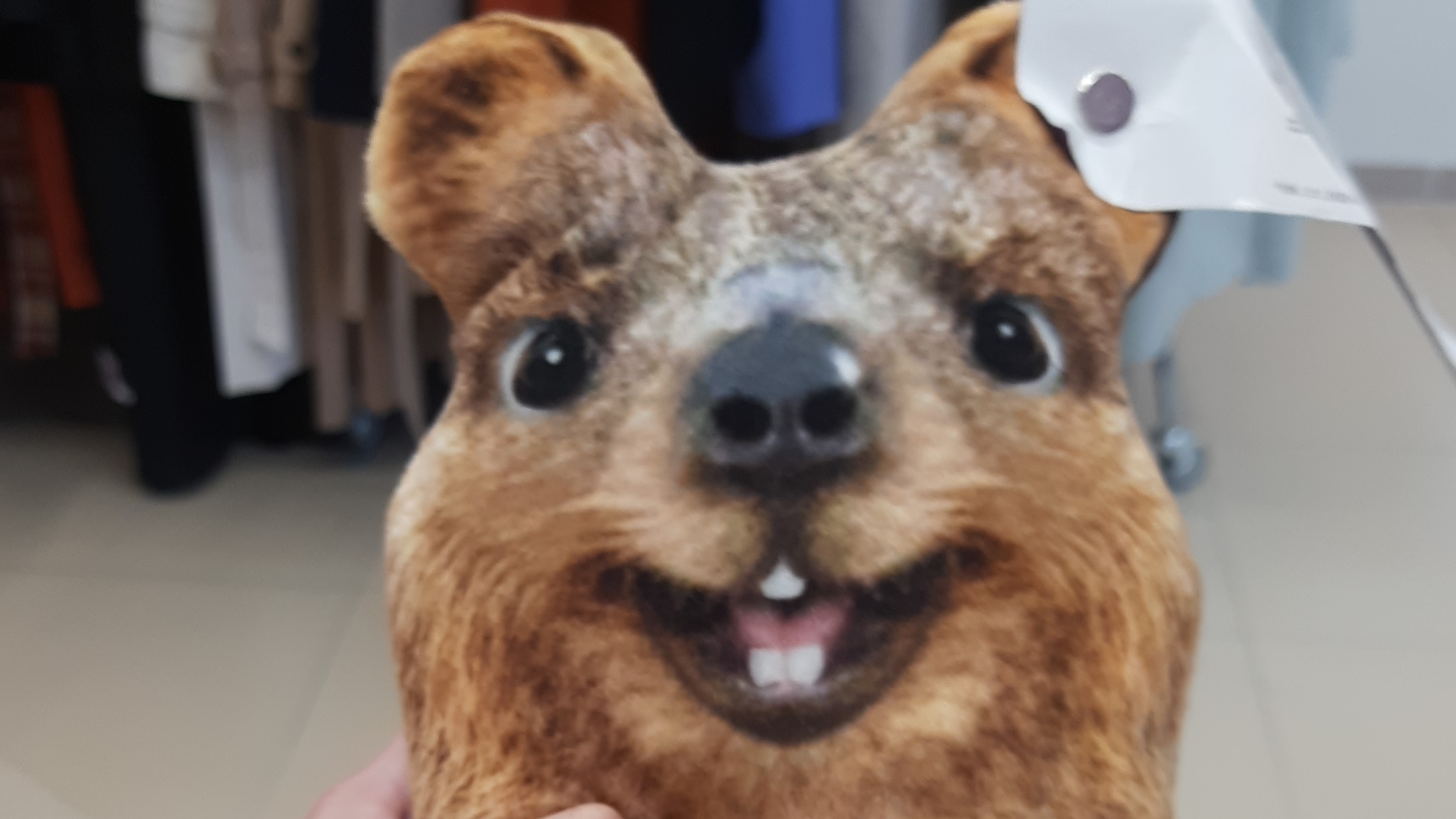 ИталРусские Кремы (Мемы) RYTP