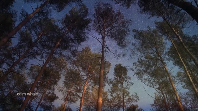 Балансировка чакр с любовью 💖🥁 — шаманский барабан и расслабляющая медитация  [Музыка без рекламы]