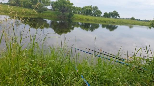 Ловись, рыбка, мала и велика!