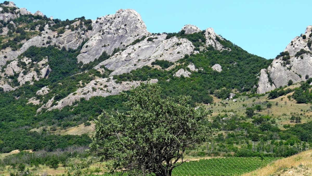 1 часть. Вокруг Спящей Красавицы. На поиски озера.