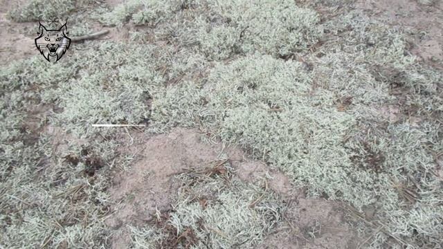 Стрельба со штатива