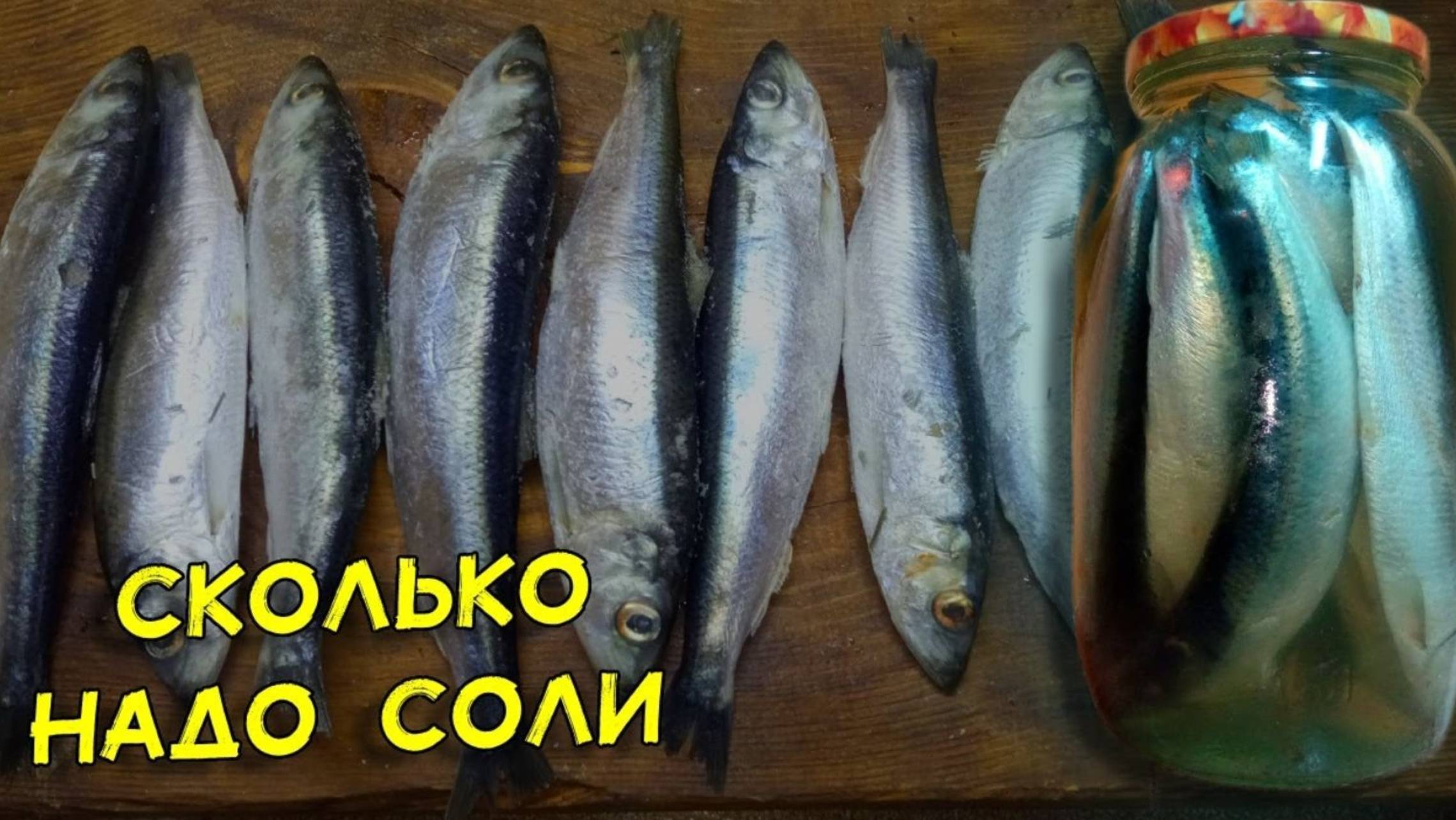 Салака пряного посола. Сколько класть соли