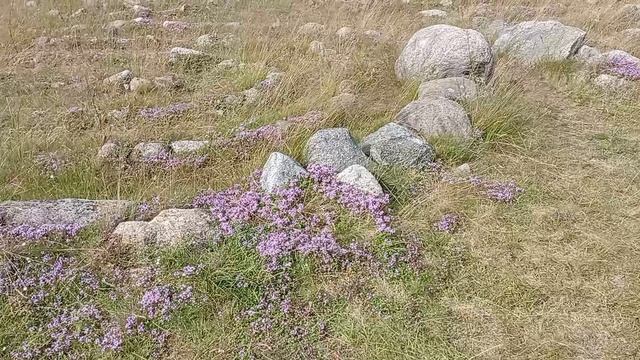 Очень необычное место